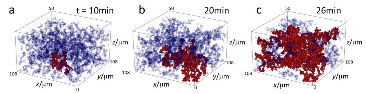 Colloidal gelation – Research Group Peter Schall