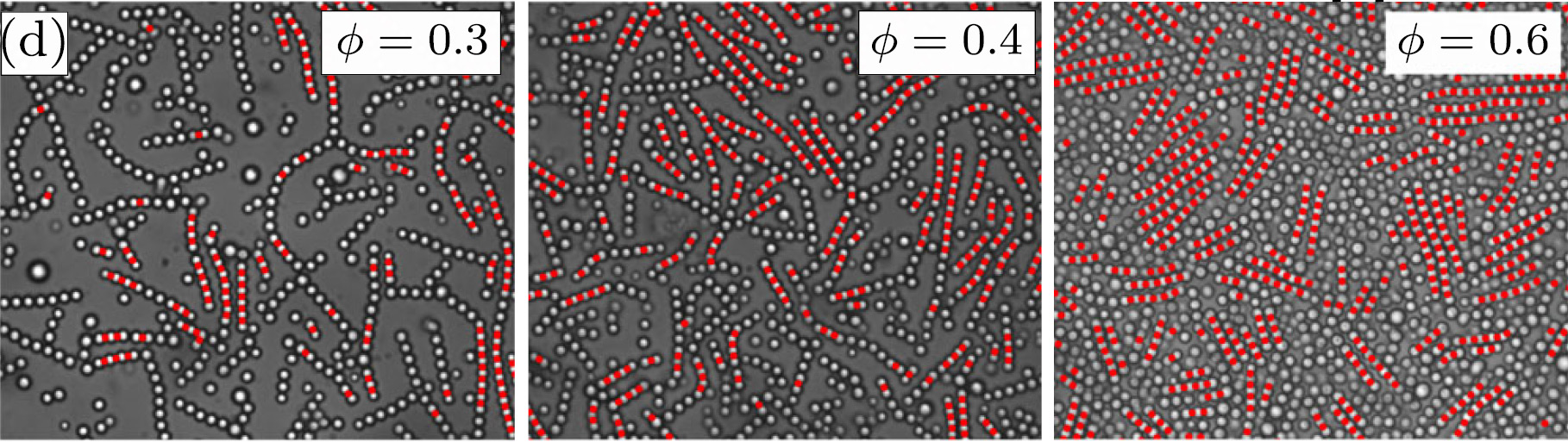 Colloidal Polymerization Kinetics – Research Group Peter Schall